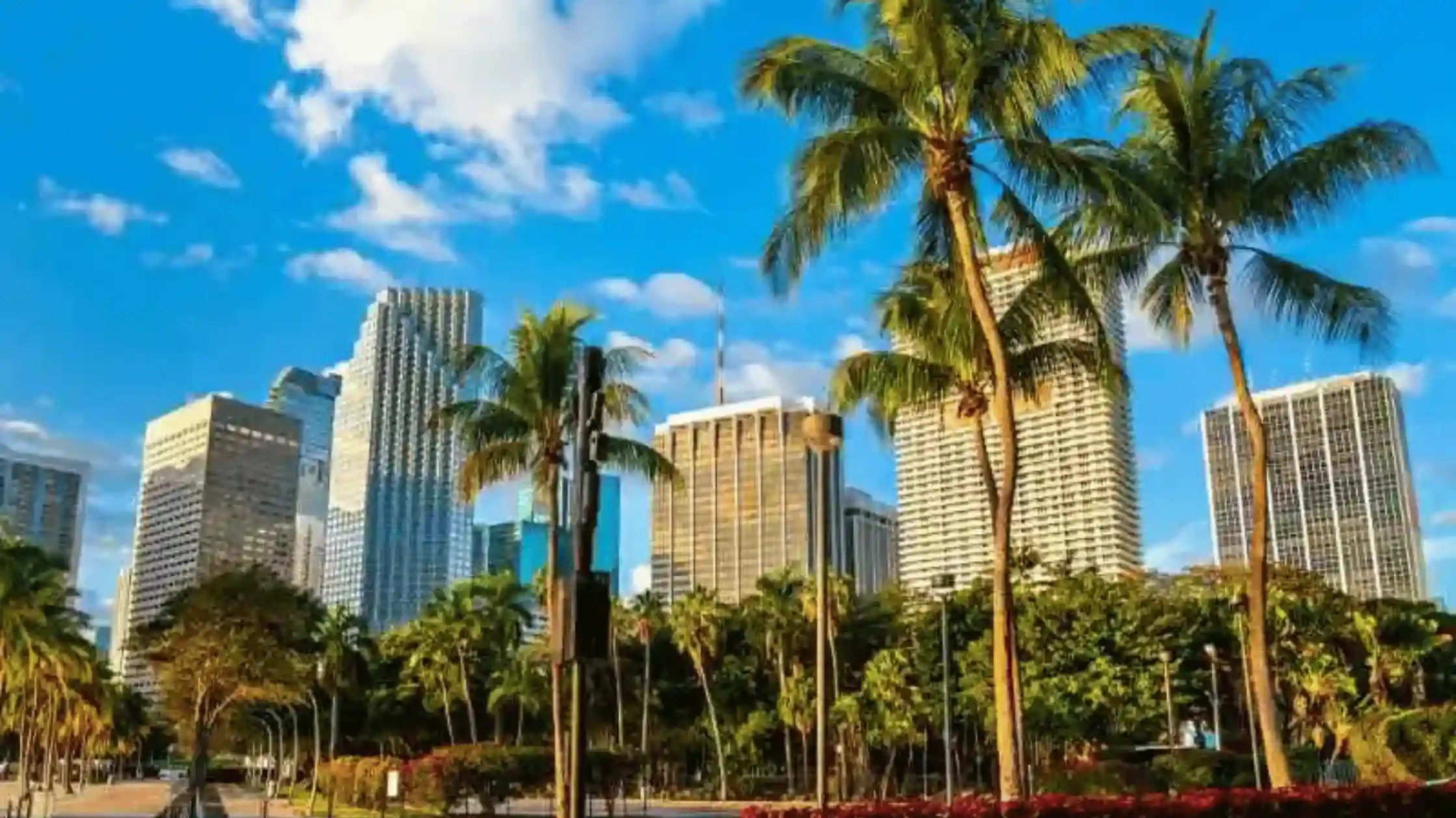Ultimate Ultra Miami Guide: Hotels, Transport & Tips - Milo Travels